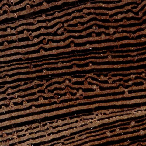 2"x2"x6" Kiln Dried Wenge Wood Spindle Turning Blank | Got Wood? LLC